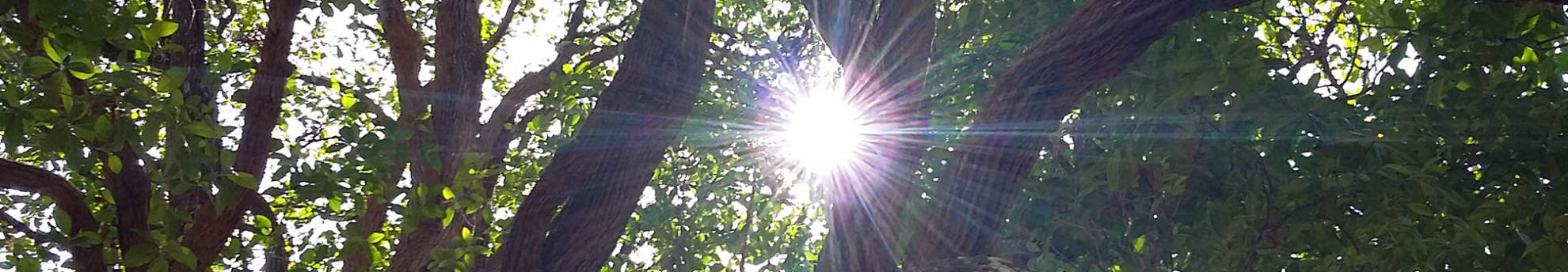 PhD in Geography – DEPARTAMENTO DE GEOGRAFIA